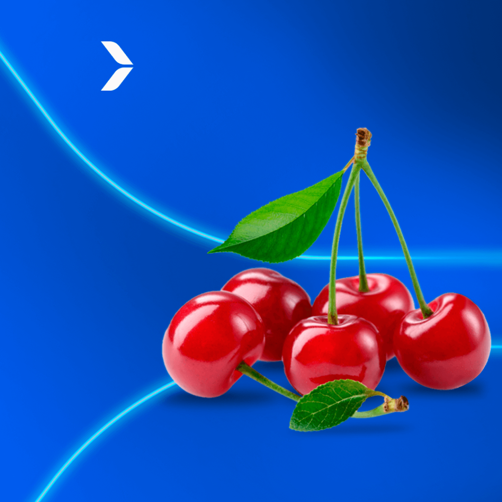 Blog xpd ES - xpd global®